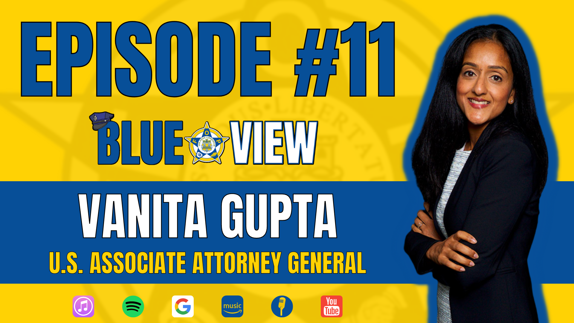 Episode 11: Common-Sense Approach to Criminal Justice | U.S. Associate ...